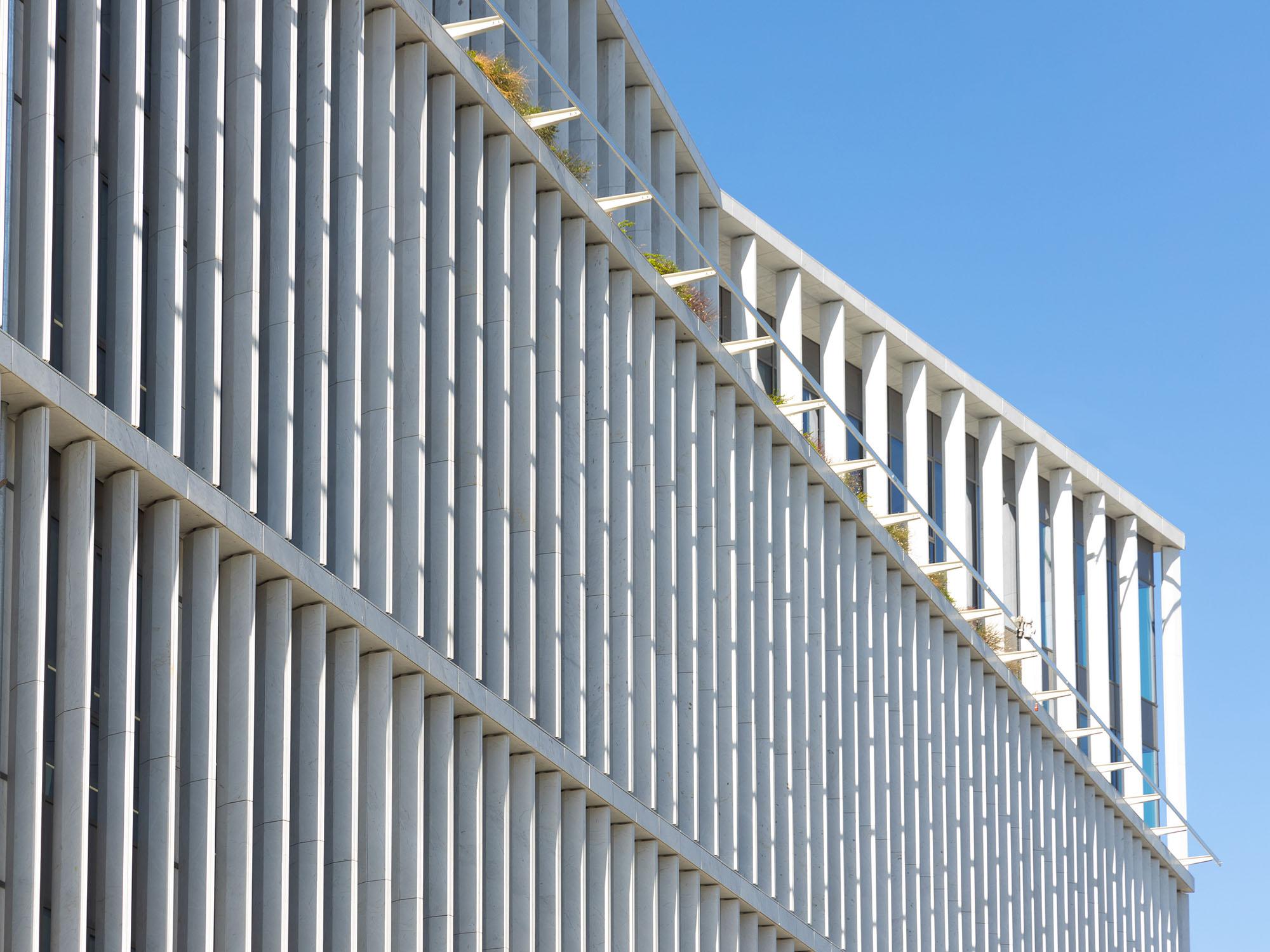 Syggrou Office – Bennetts Associates
